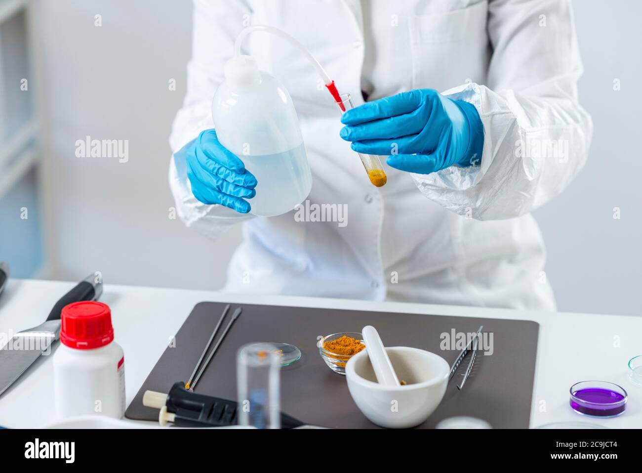 Quality control expert inspecting turmeric in the laboratory Stock ...