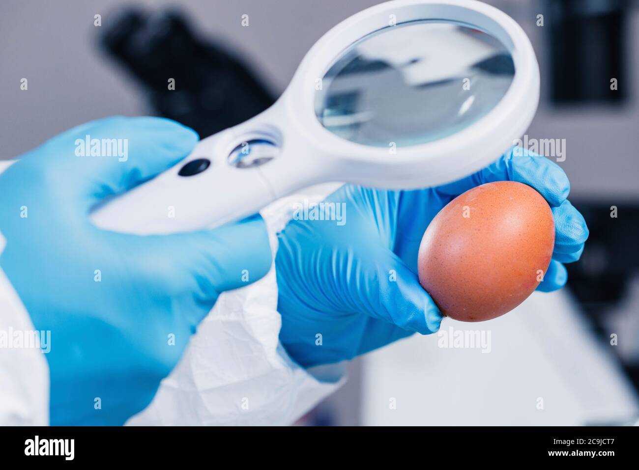 Quality control expert inspecting an egg in the laboratory Stock Photo ...