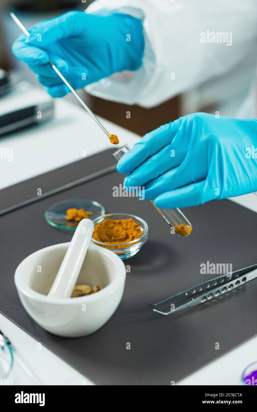Quality control expert inspecting turmeric in the laboratory Stock ...