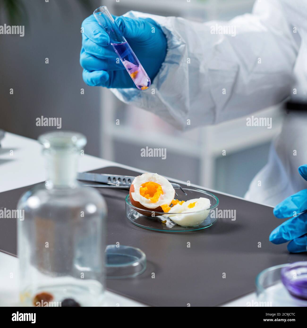 Quality control expert inspecting an egg in the laboratory Stock Photo ...