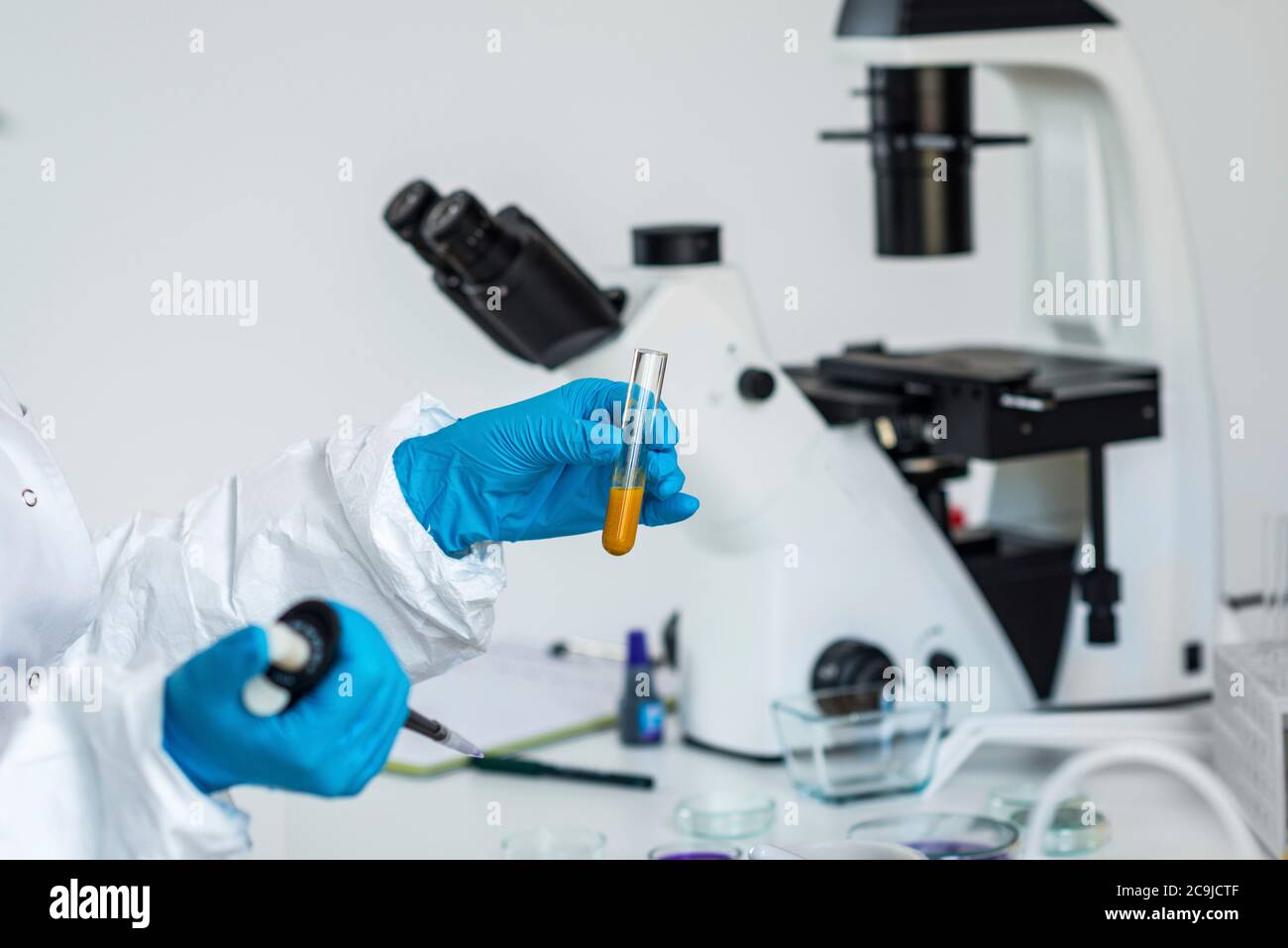 Quality control expert inspecting turmeric in the laboratory Stock ...