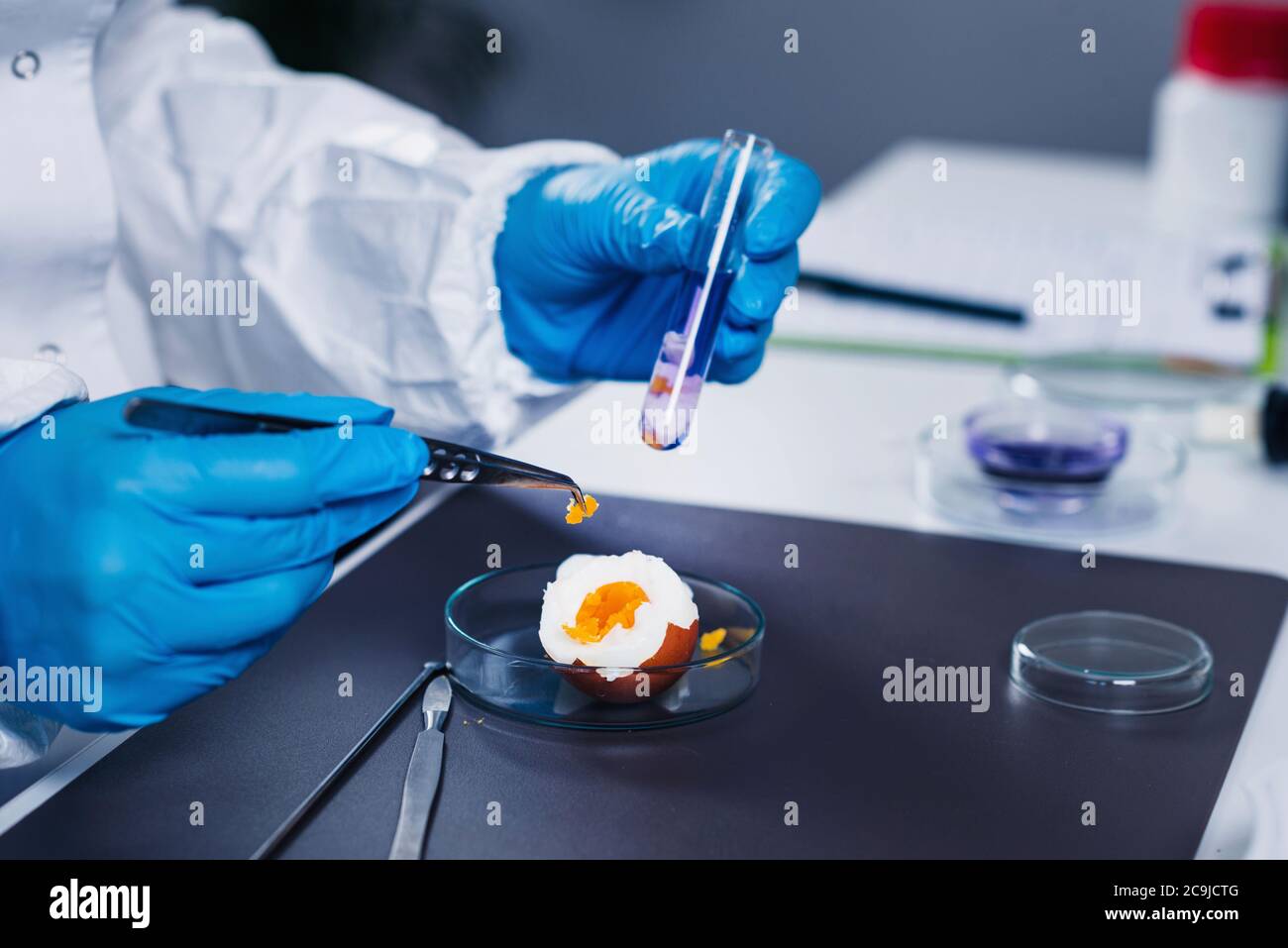 Quality control expert inspecting an egg in the laboratory Stock Photo ...