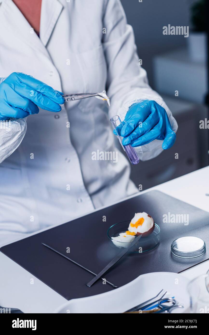 Quality control expert inspecting an egg in the laboratory Stock Photo ...