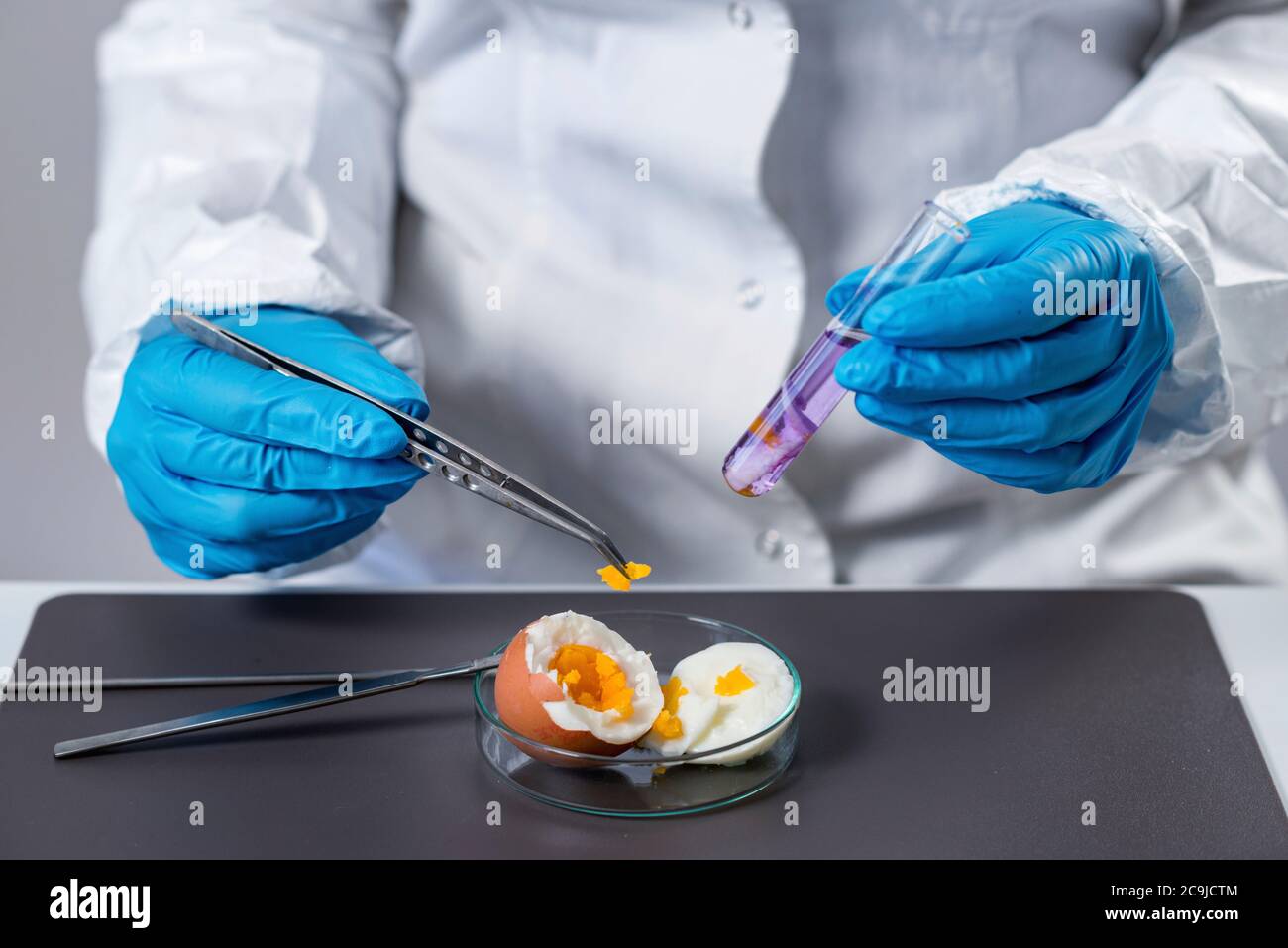 Quality control expert inspecting an egg in the laboratory Stock Photo ...