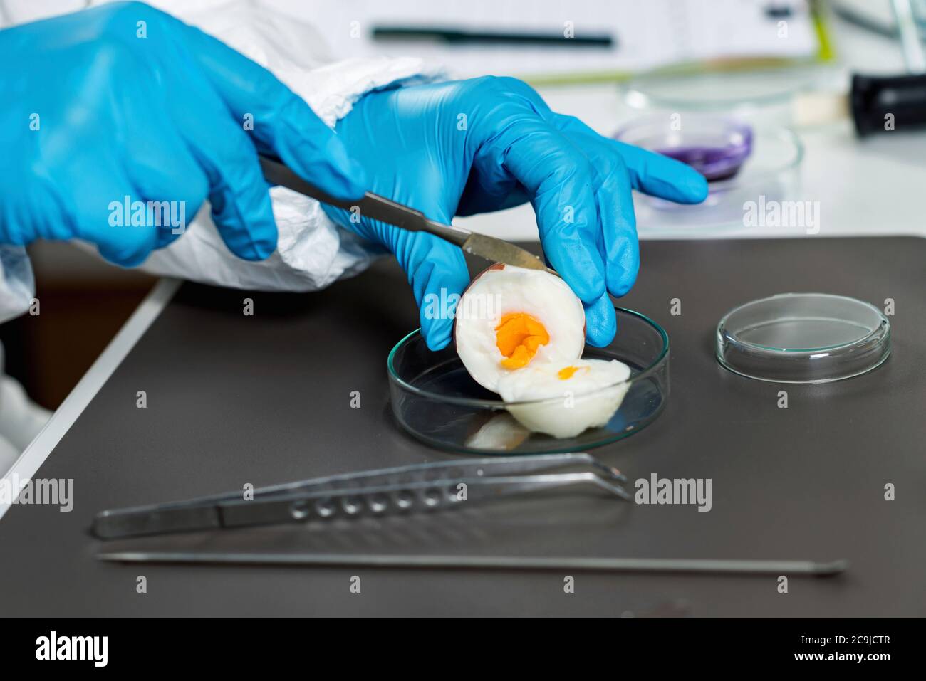 Quality control expert inspecting an egg in the laboratory Stock Photo ...