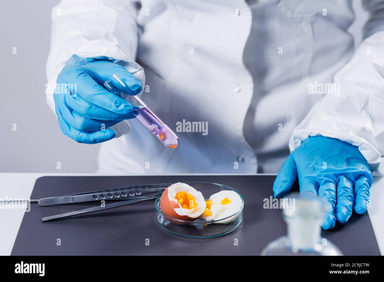 Quality control expert inspecting an egg in the laboratory Stock Photo ...