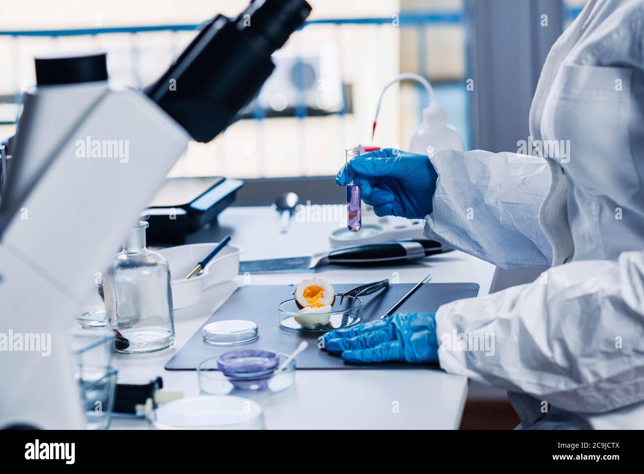 Quality control expert inspecting an egg in the laboratory Stock Photo ...
