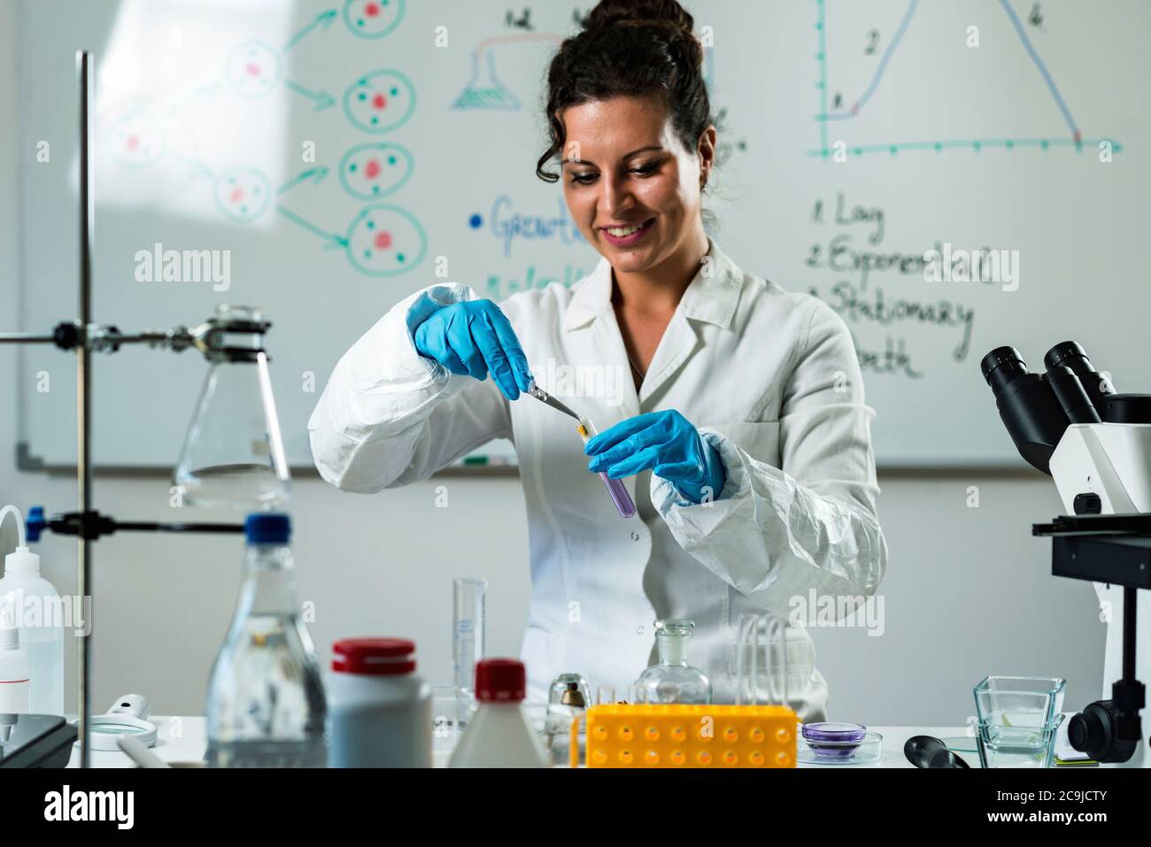 Quality control expert inspecting an egg in the laboratory Stock Photo ...