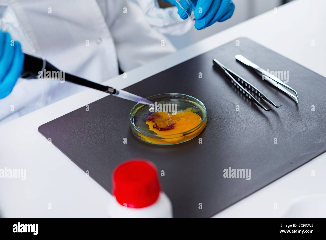 Quality control expert inspecting an egg in the laboratory Stock Photo ...