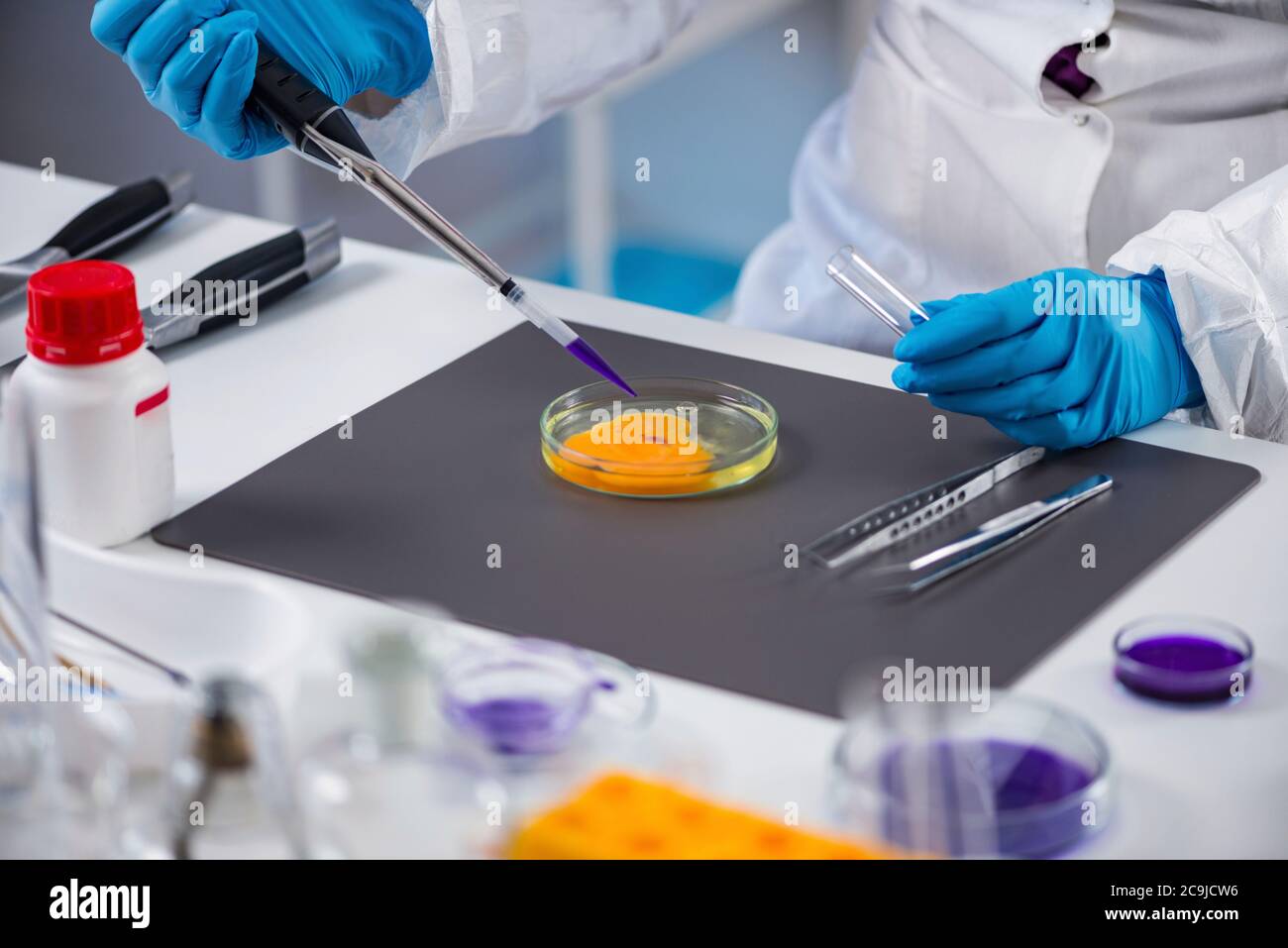 Quality control expert inspecting an egg in the laboratory Stock Photo ...