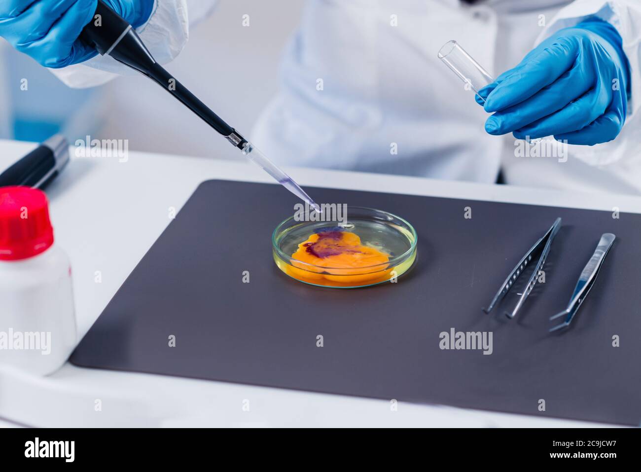 Quality control expert inspecting an egg in the laboratory Stock Photo ...
