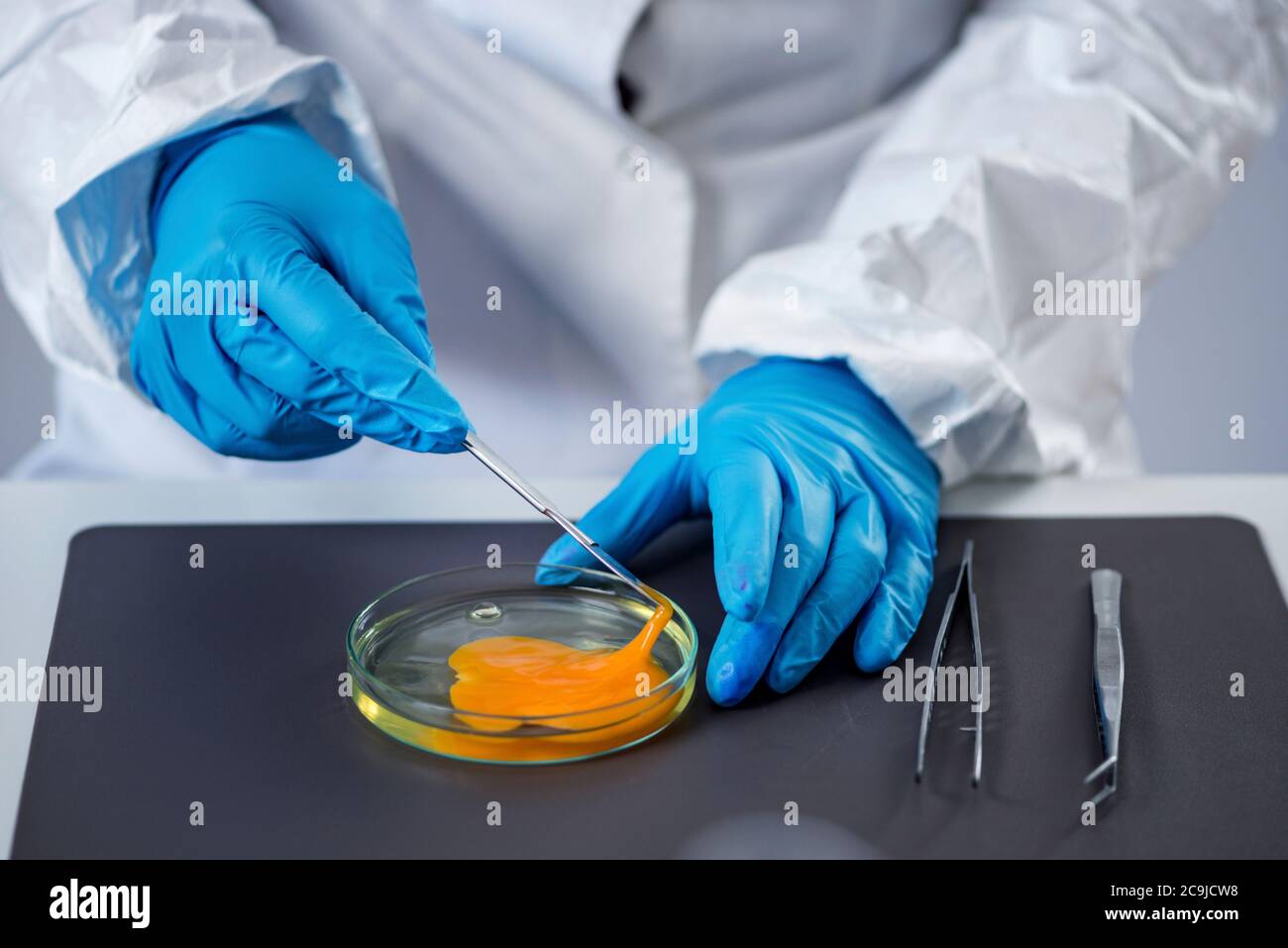 Quality control expert inspecting an egg in the laboratory Stock Photo ...