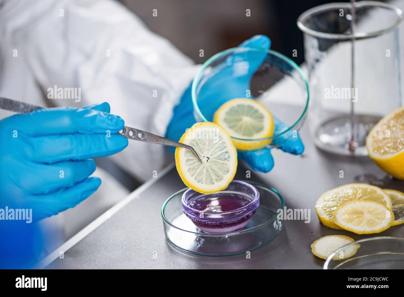 Food safety inspector testing fruit Stock Photo - Alamy