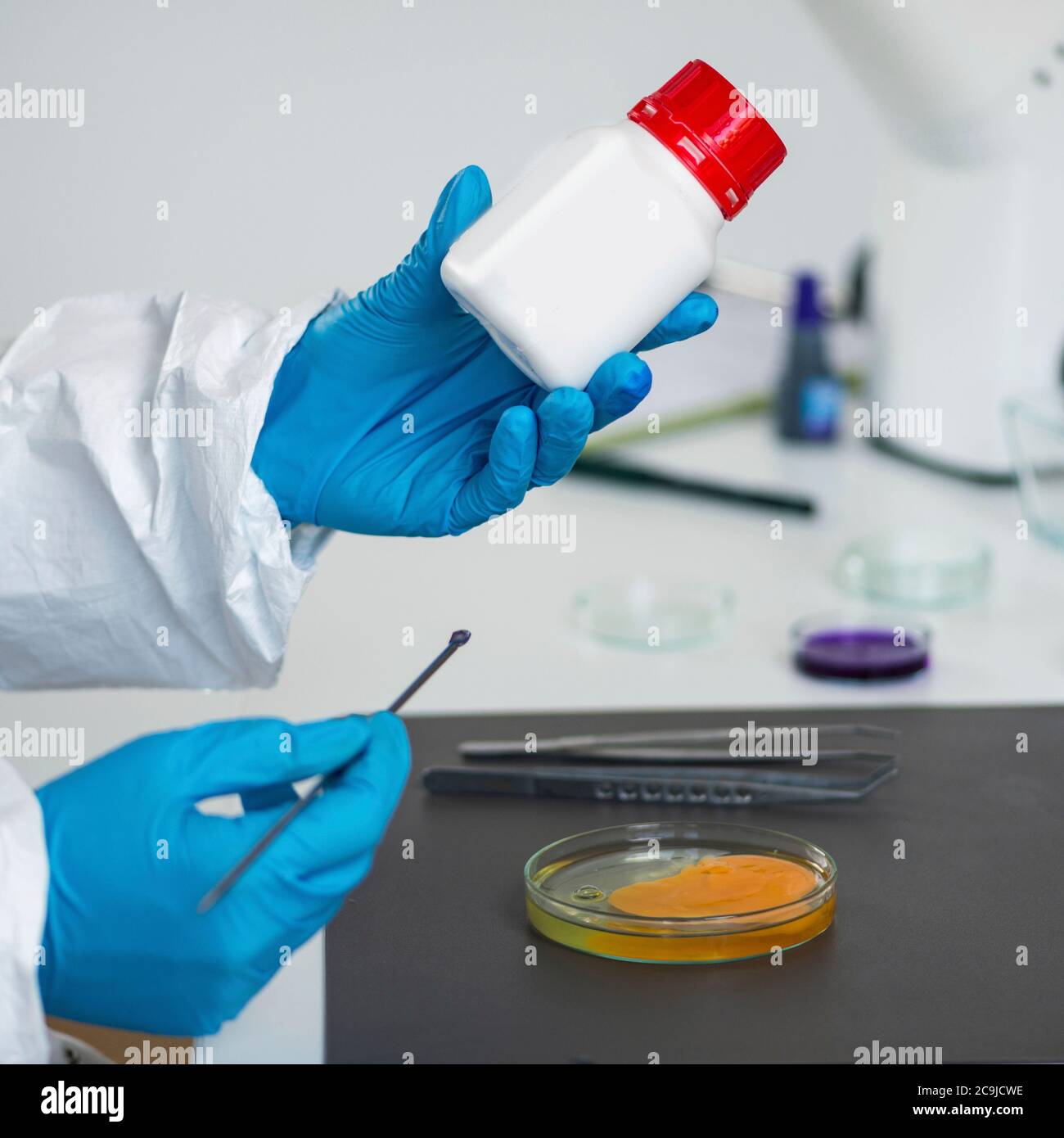 Quality control expert inspecting an egg in the laboratory Stock Photo ...