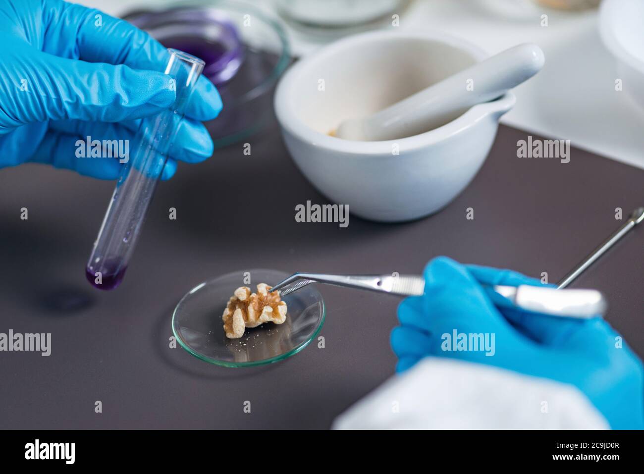 Microbiologist analysing quality of nuts in laboratory Stock Photo - Alamy