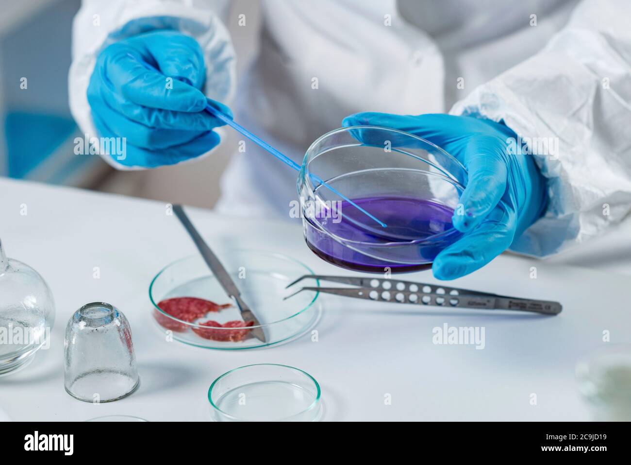 Quality control expert inspecting meat products in the laboratory Stock ...
