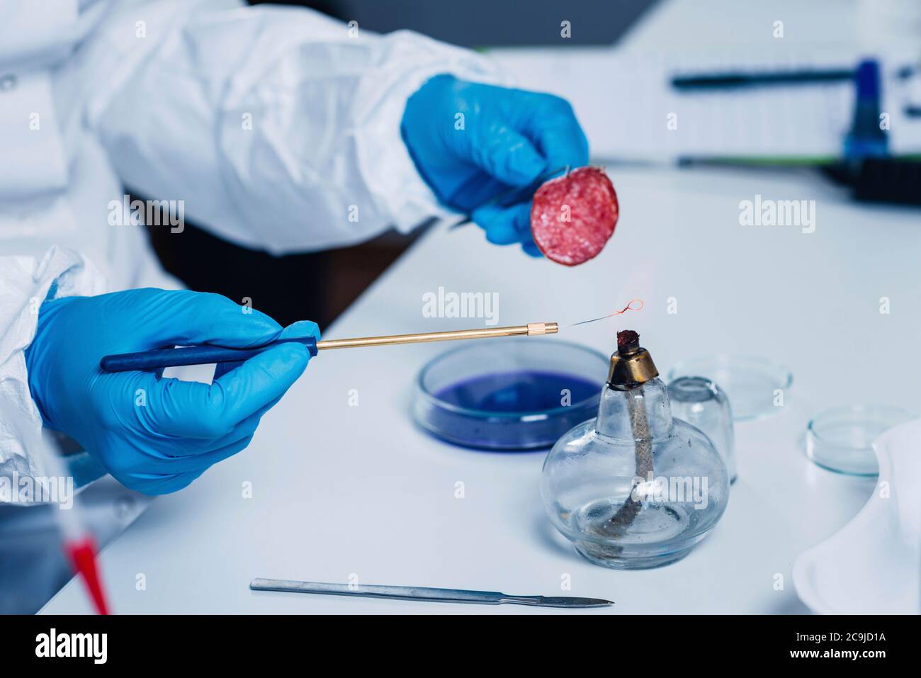 Quality control expert inspecting meat products in the laboratory Stock ...