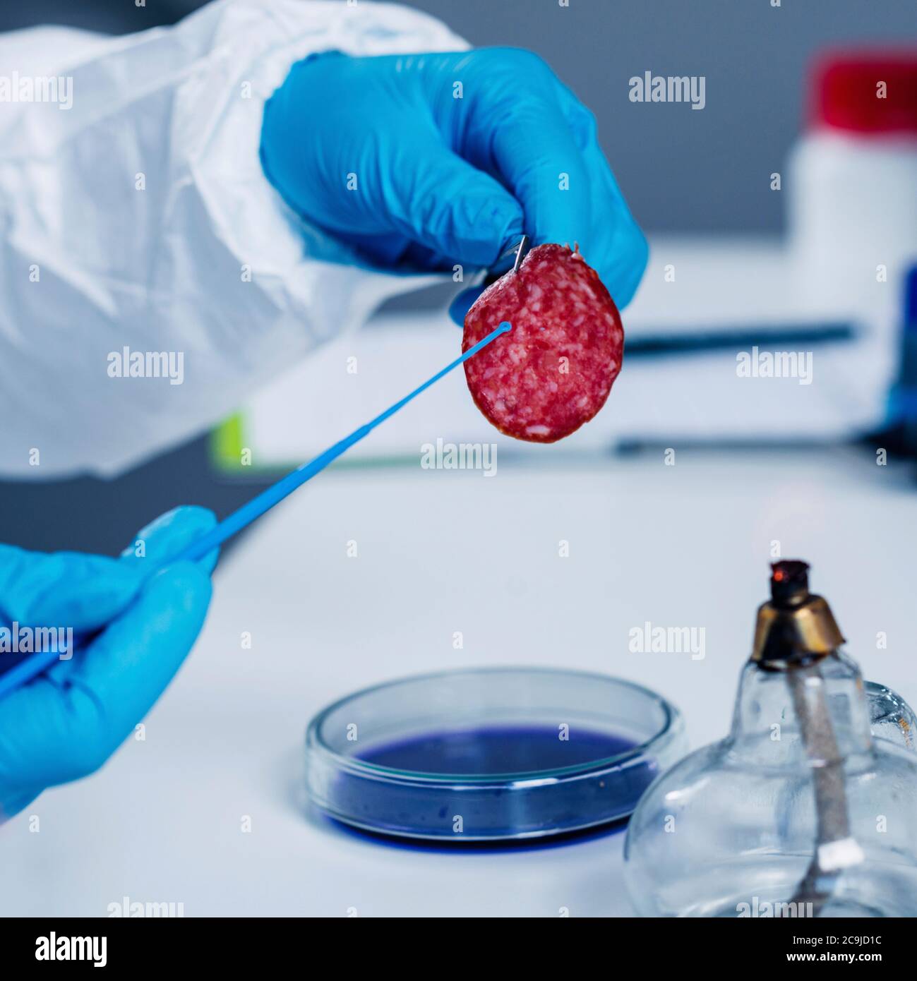 Quality control expert inspecting meat products in the laboratory Stock ...