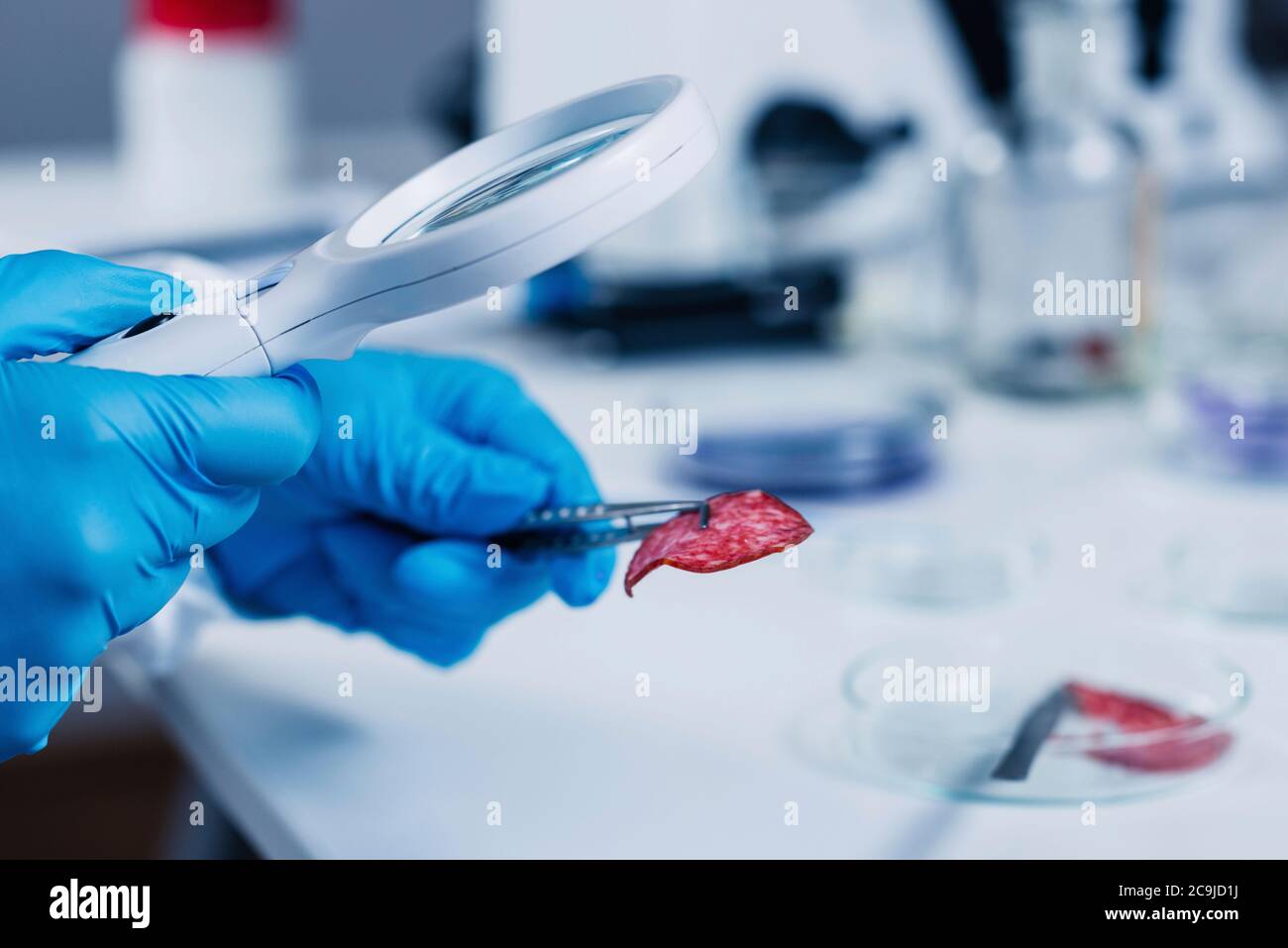 Quality control expert inspecting meat products in the laboratory Stock ...