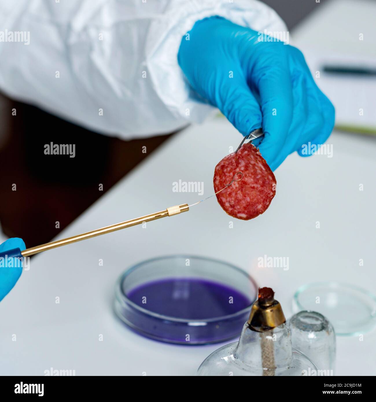 Quality control expert inspecting meat products in the laboratory Stock ...