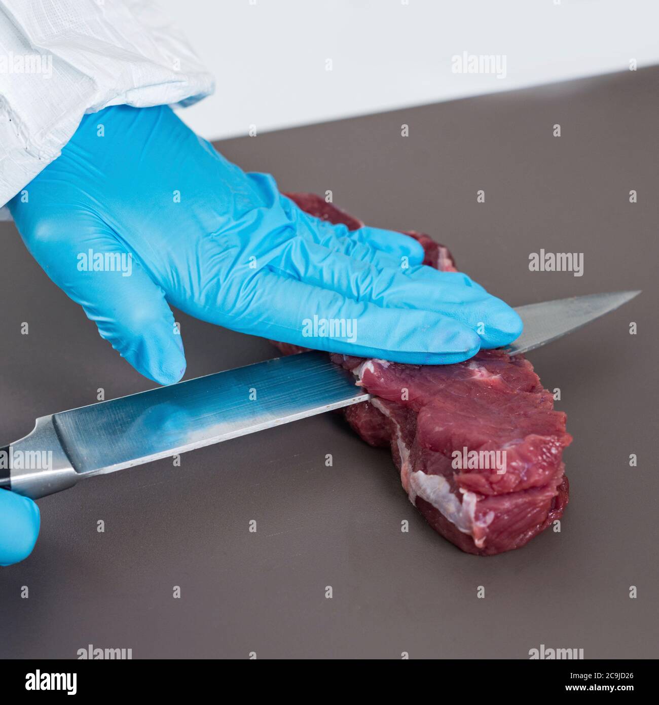 Quality control expert inspecting meat in the laboratory Stock Photo ...