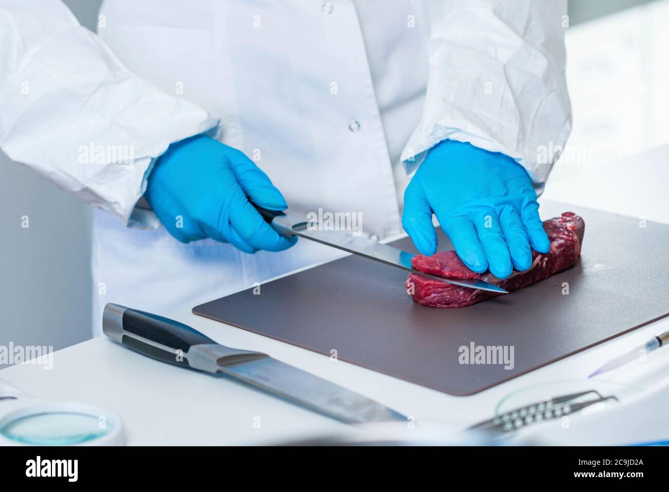 Quality control expert inspecting meat in the laboratory Stock Photo ...
