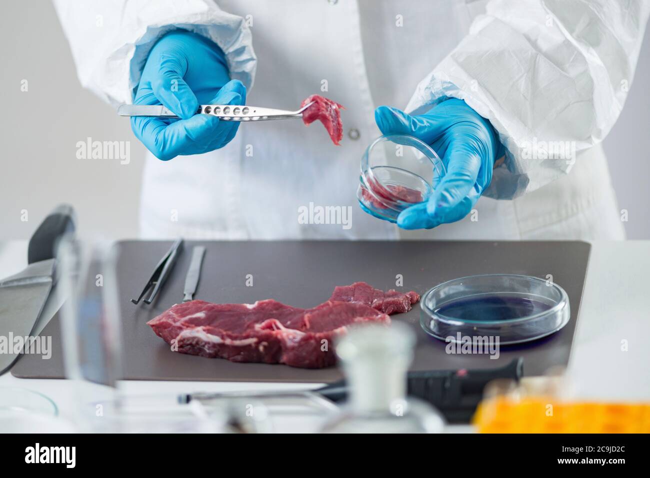 Quality control expert inspecting meat in the laboratory Stock Photo ...