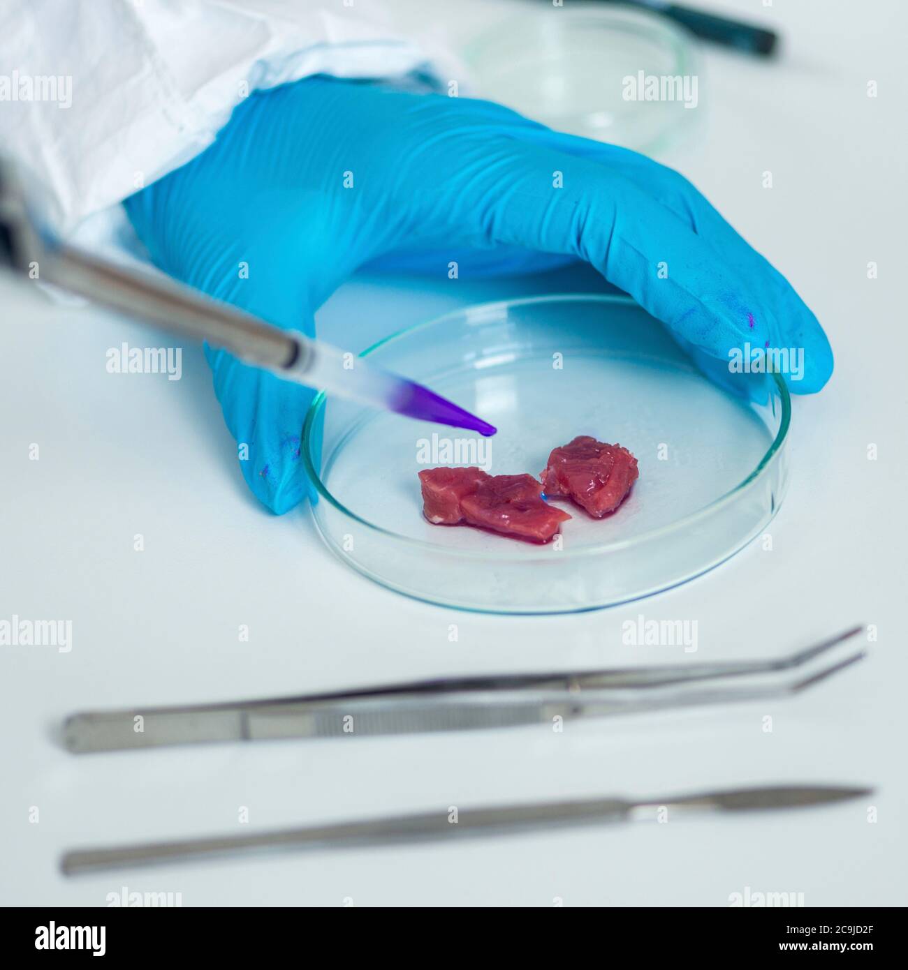 Quality control expert inspecting meat in the laboratory Stock Photo ...