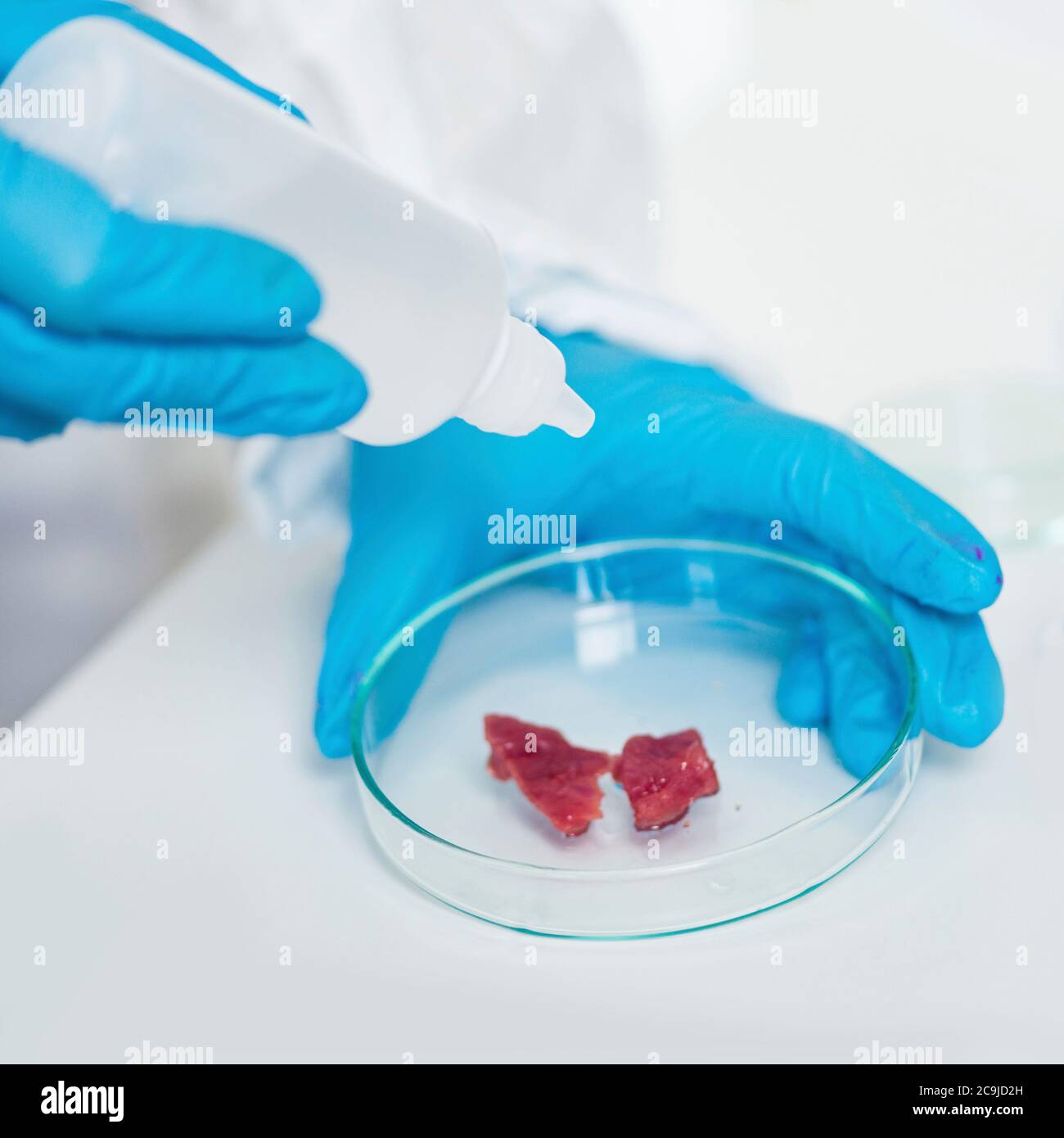Quality Control Expert Inspecting Meat In The Laboratory Stock Photo quality-control-expert-inspecting-meat-in-the-laboratory-stock-photo