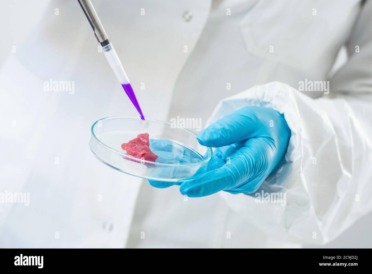 Quality control expert inspecting meat in the laboratory Stock Photo ...