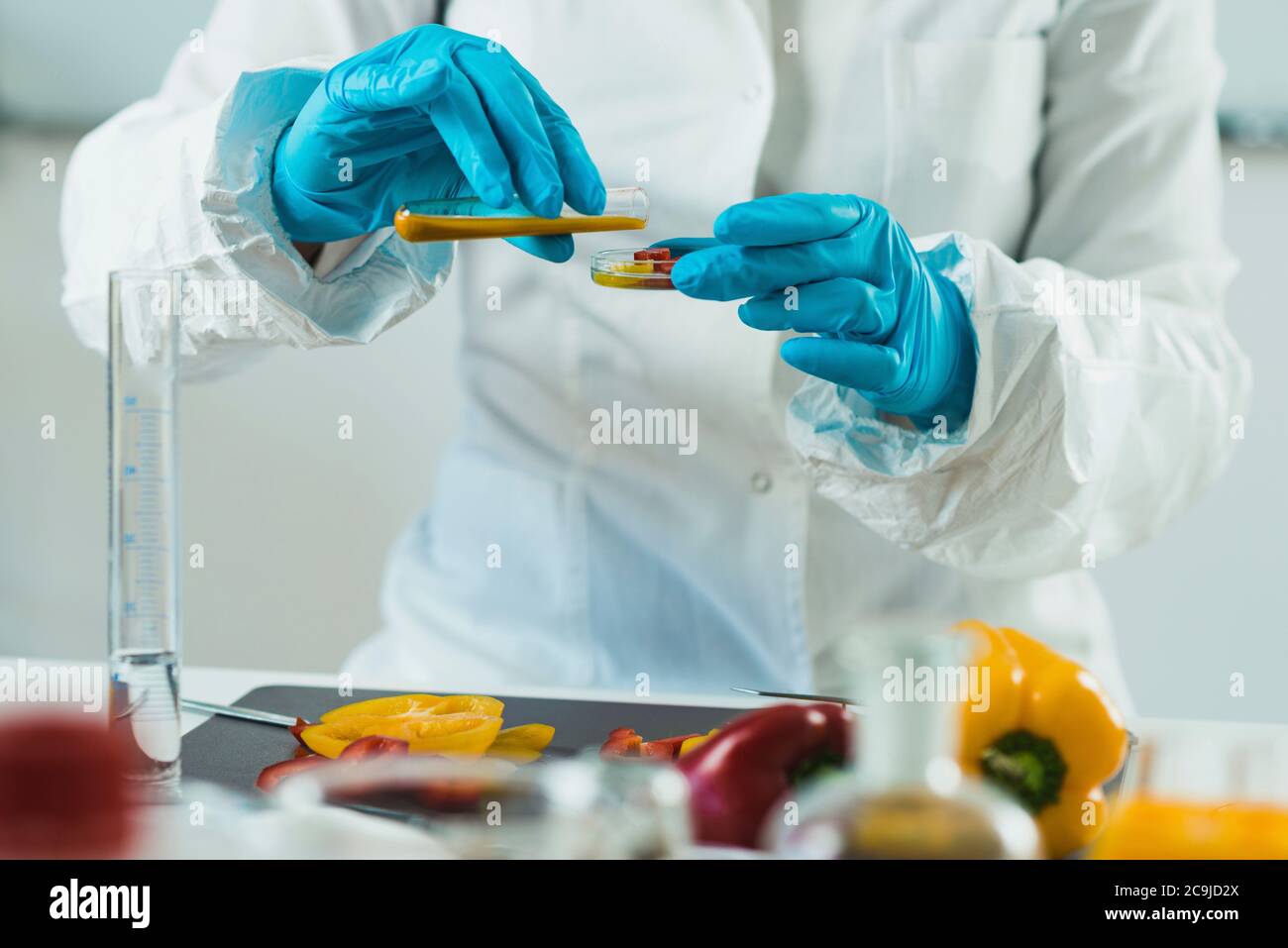 Quality control food safety inspector working in a laboratory Stock ...