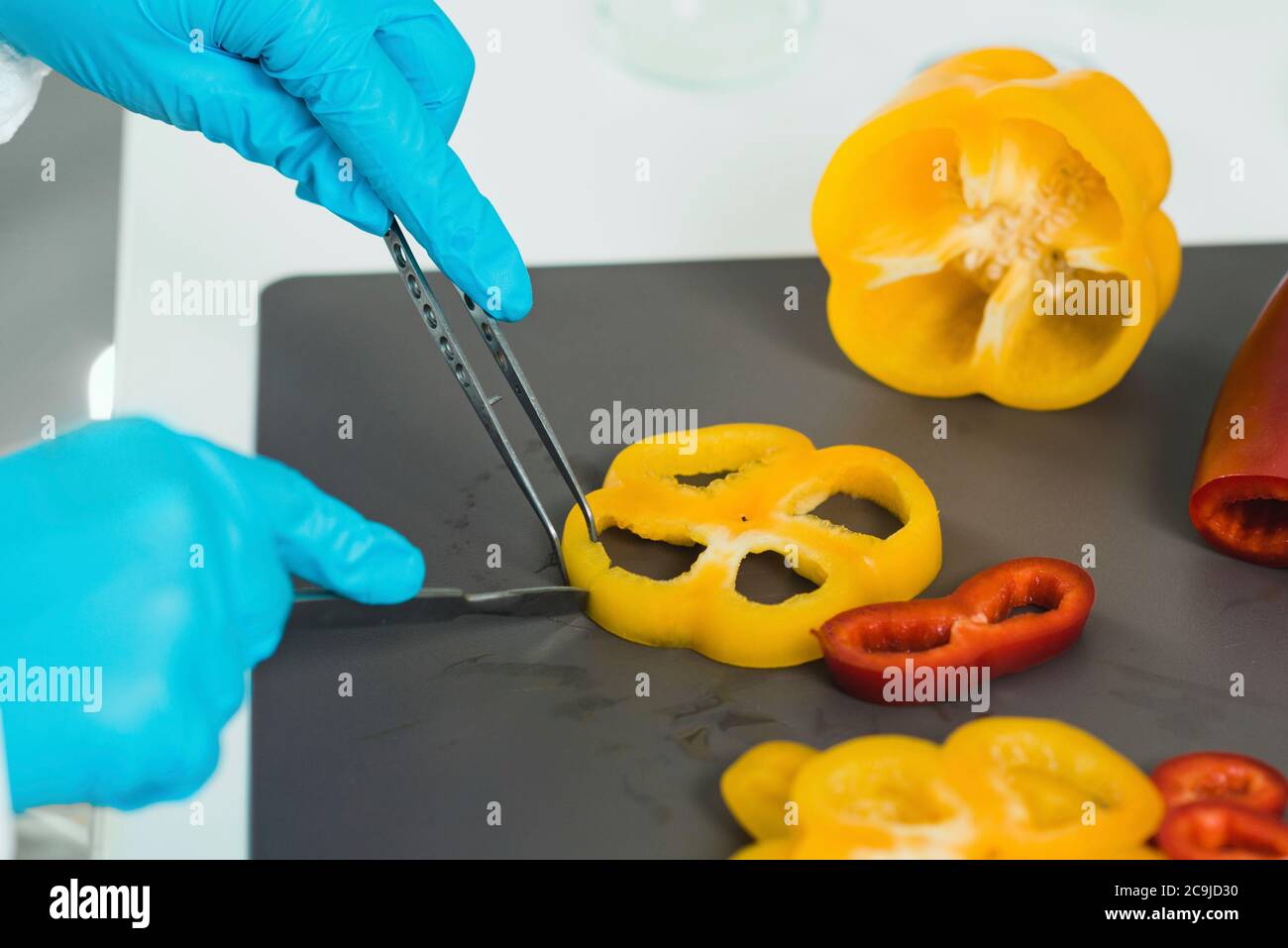 Quality control food safety inspector working with vegetables in a ...