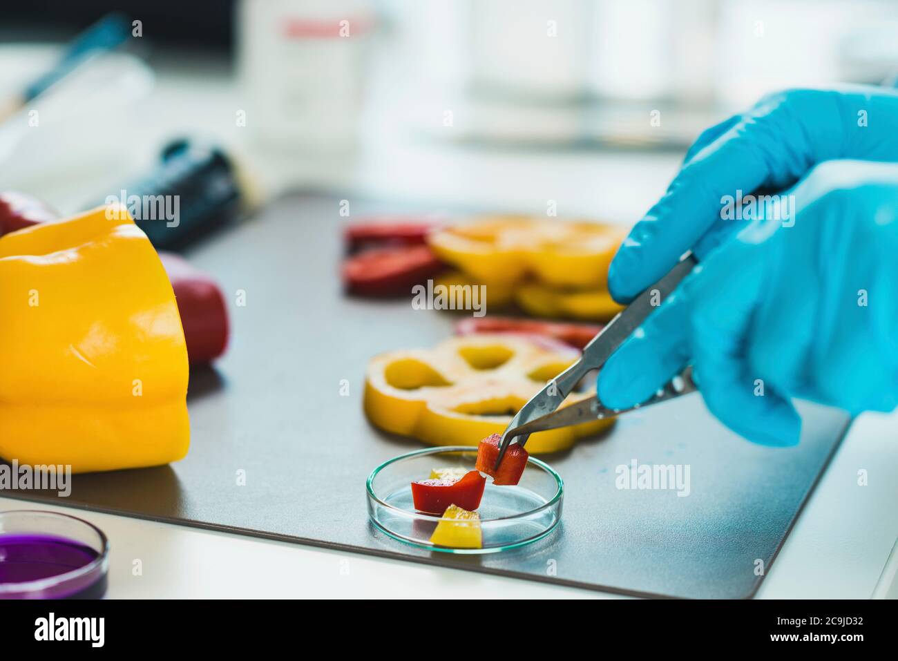 Quality control food safety inspector working with vegetables in a ...