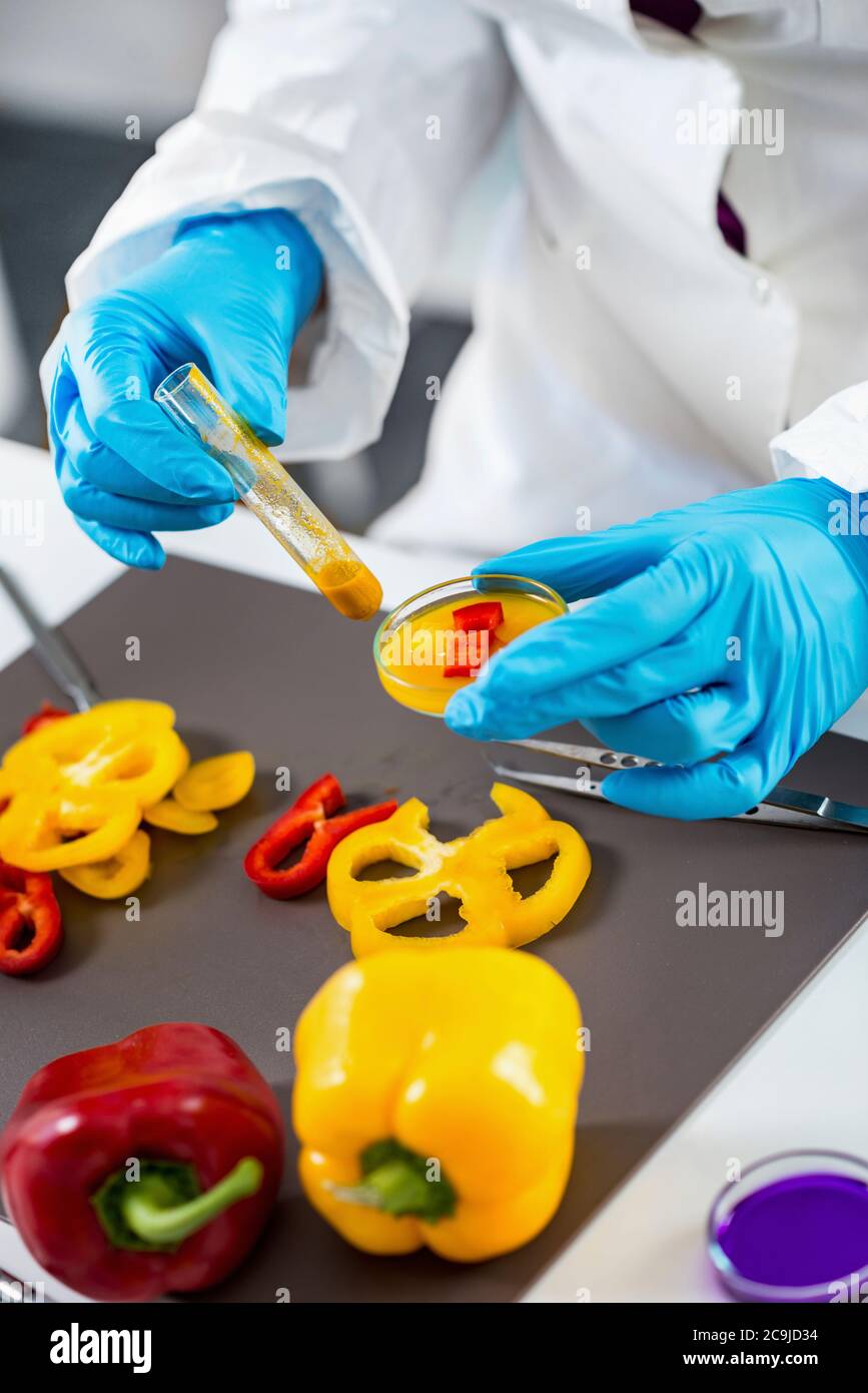 Quality control food safety inspector working in a laboratory Stock ...