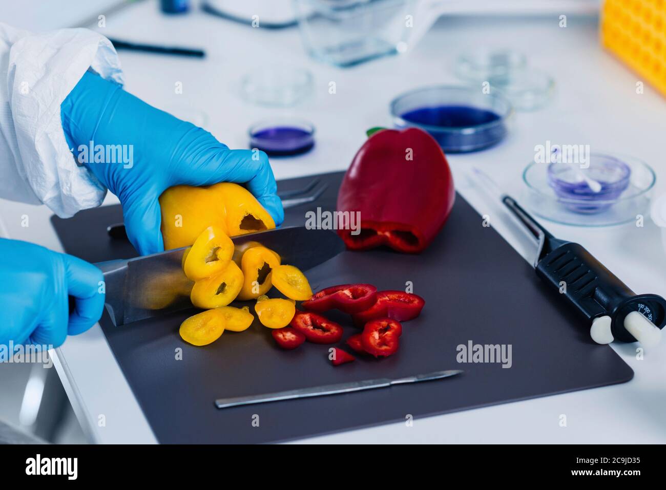 Quality control food safety inspector working with vegetables in a ...