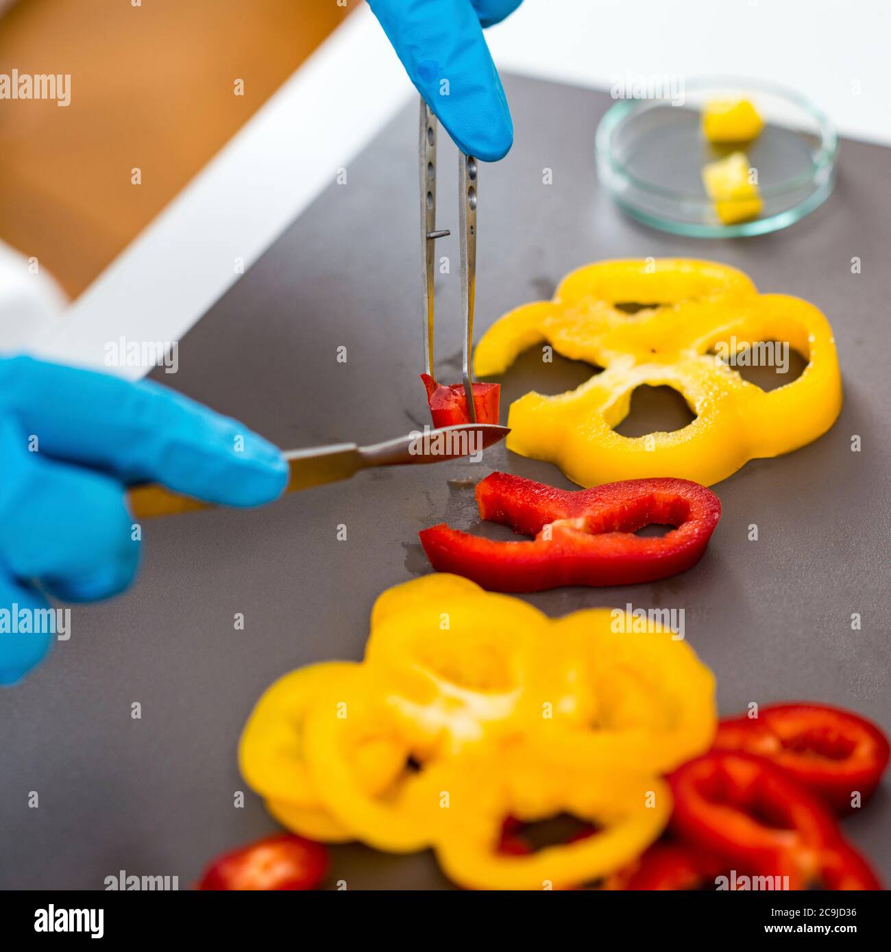 Quality control food safety inspector working with vegetables in a ...