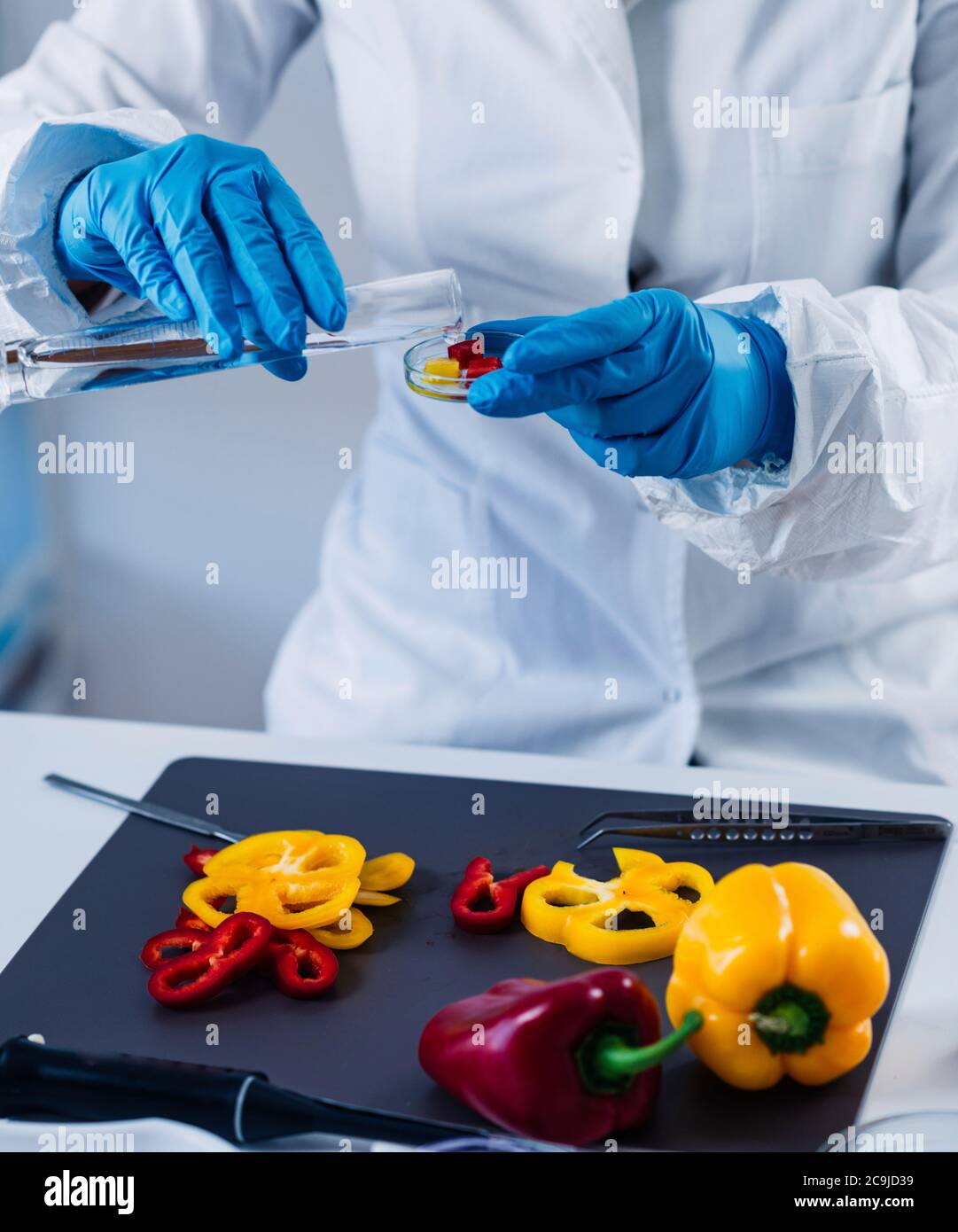 Quality control food safety inspector working in a laboratory Stock ...