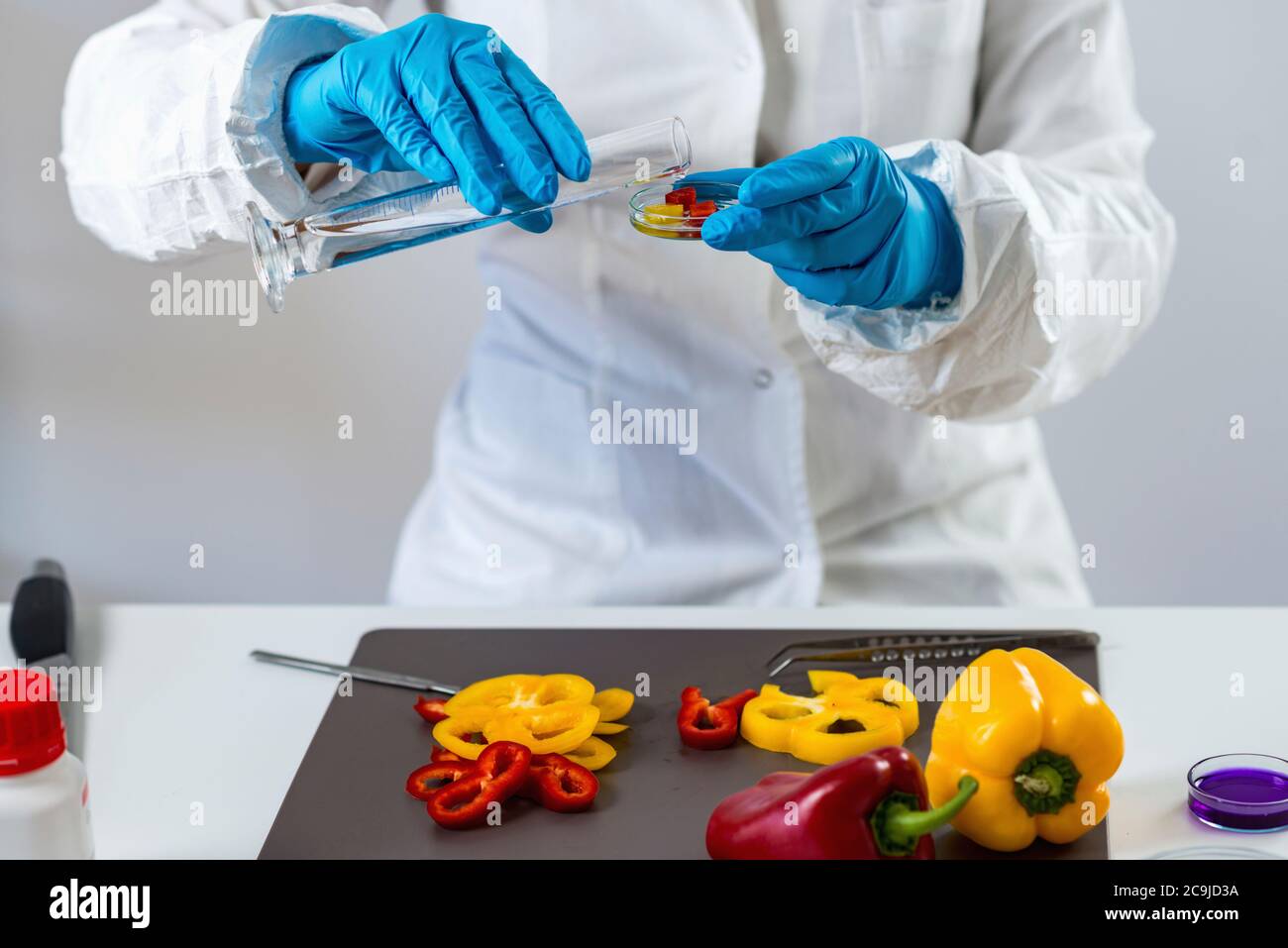 Quality control food safety inspector working in a laboratory Stock ...