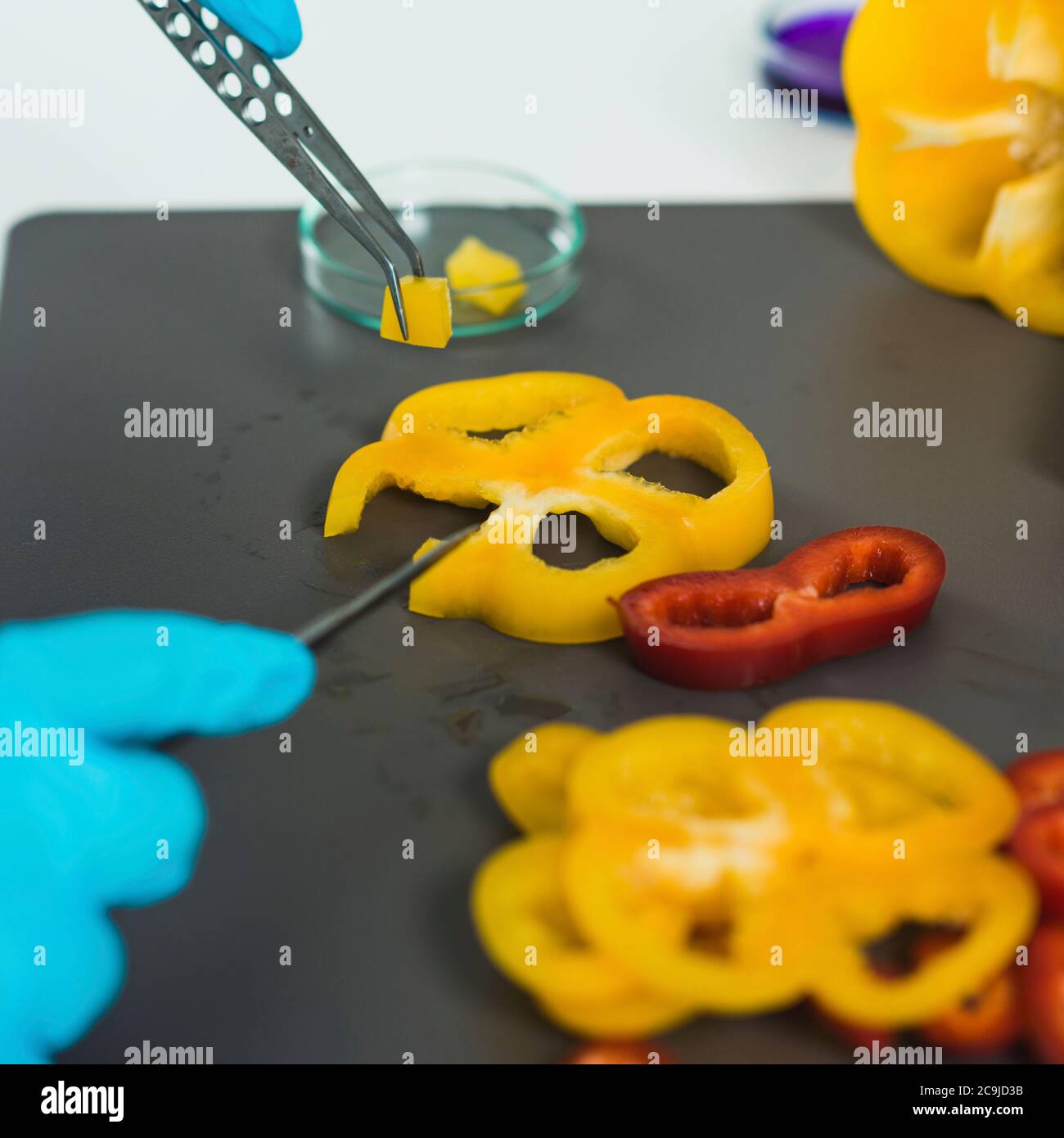 Quality control food safety inspector working with vegetables in a ...