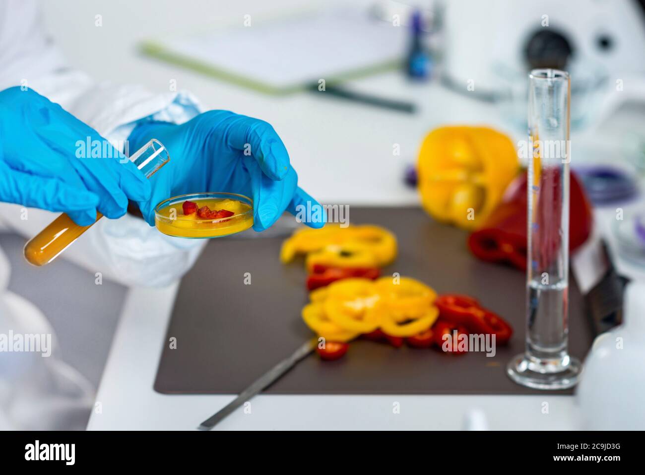 Quality control food safety inspector working in a laboratory Stock ...