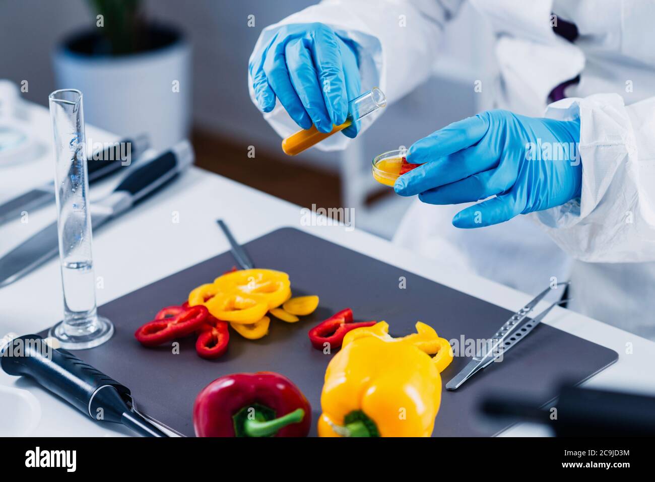 Quality control food safety inspector working in a laboratory Stock ...