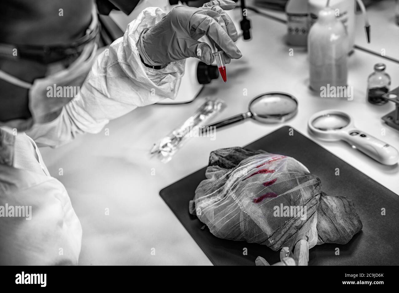 Forensic Science in Laboratory. Forensic analyst examining cloth with ...
