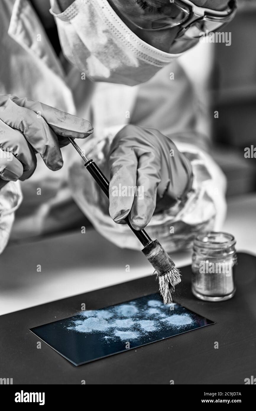 Forensic science investigator collecting fingerprints Stock Photo - Alamy