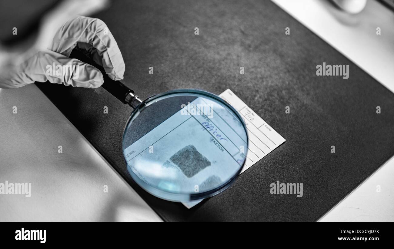 Forensics. Police laboratory expert examining fingerprints form Stock ...