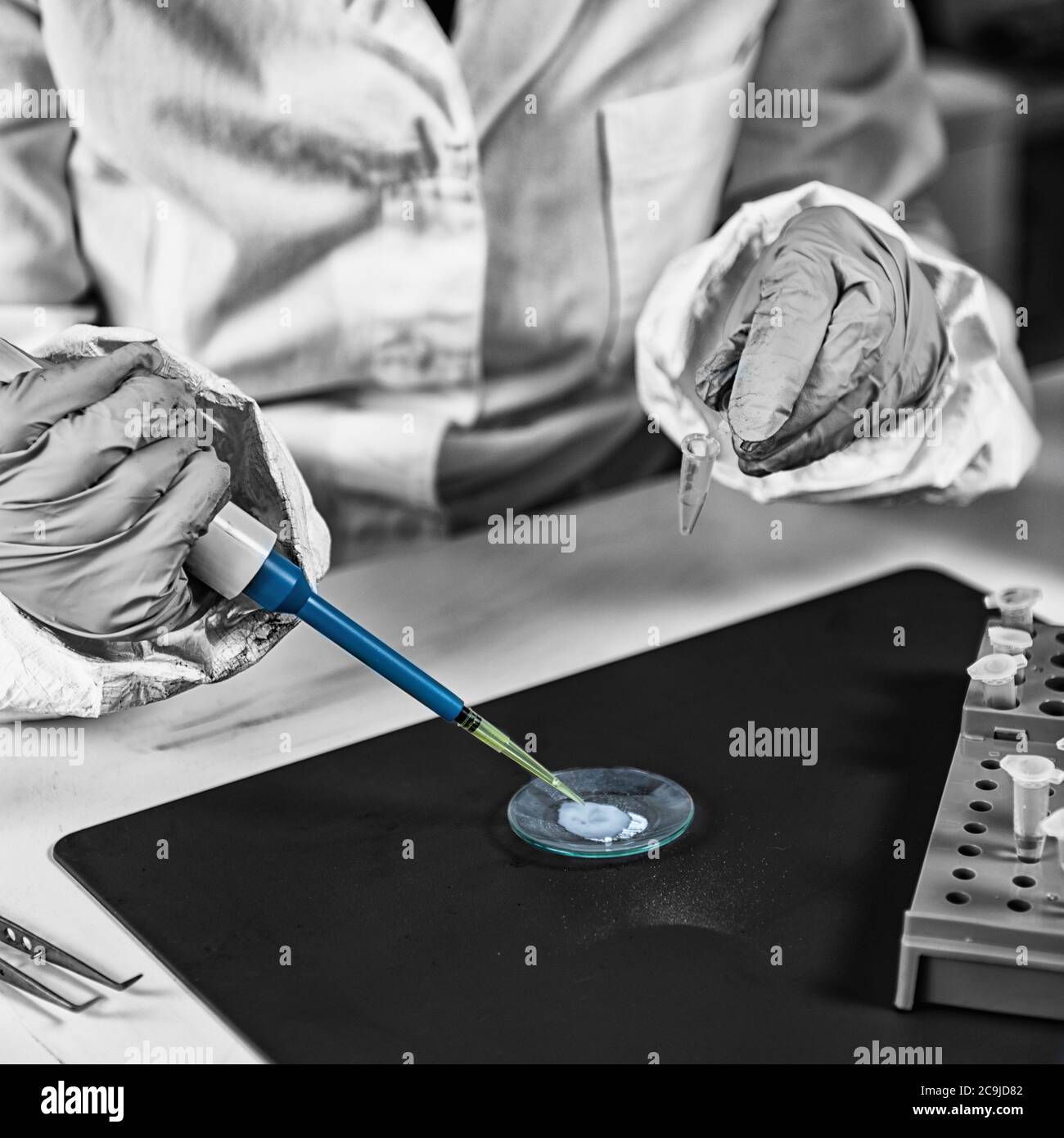 Forensic analyst examining unknown suspicious matter in laboratory ...