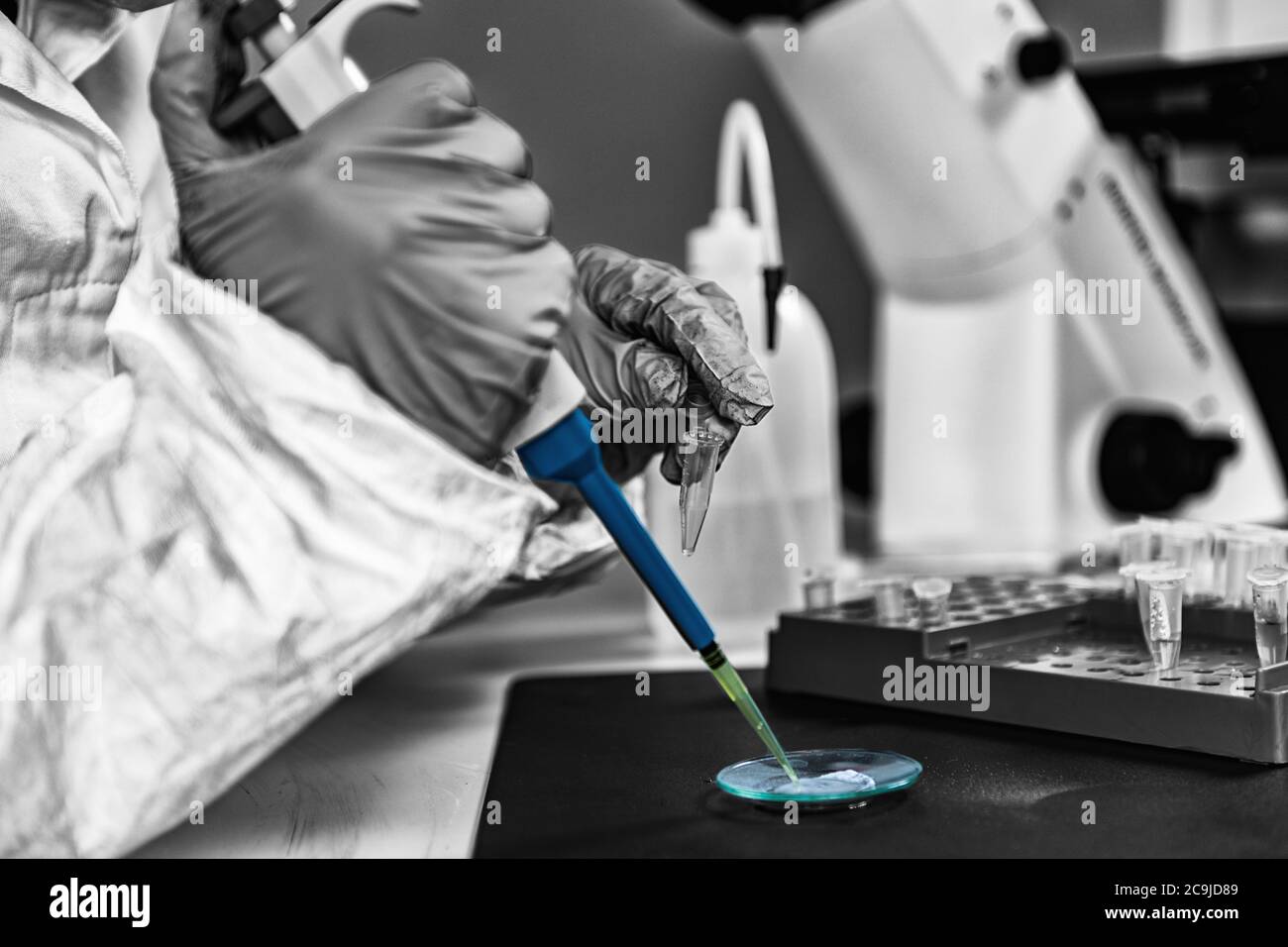 Crime scene analyst hi-res stock photography and images - Alamy