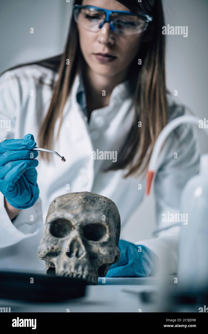 Crime lab forensics hi-res stock photography and images - Alamy