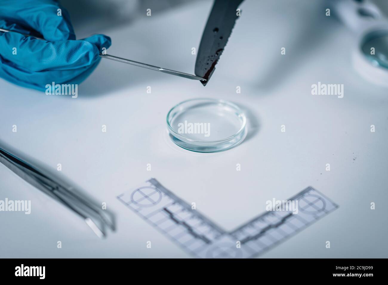 Forensic Science in Lab. Forensic Scientist photographing knife for ...