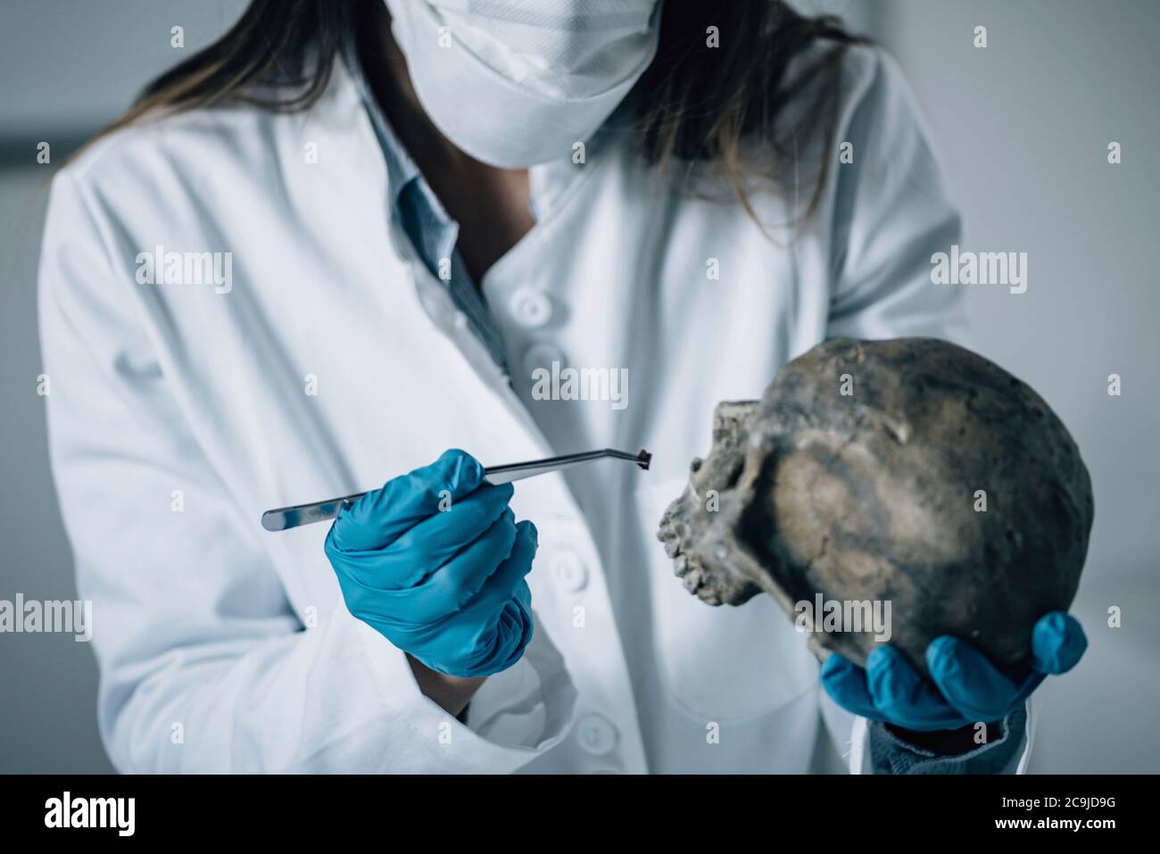 Forensic Science in Lab. Forensic Scientist examining skull for ...