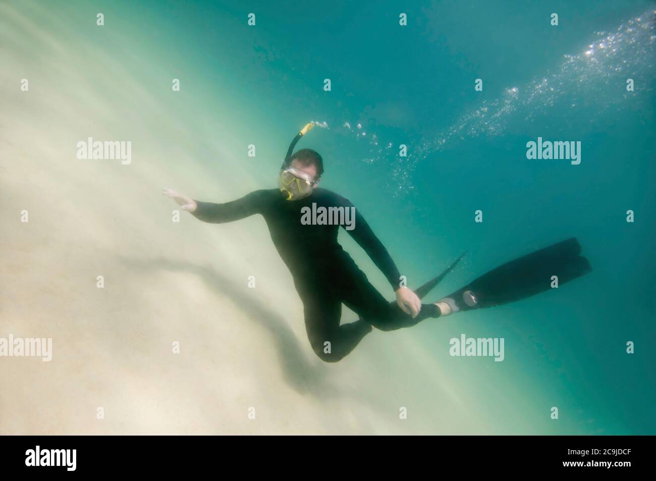 Free diver hovering over ocean floor Stock Photo - Alamy